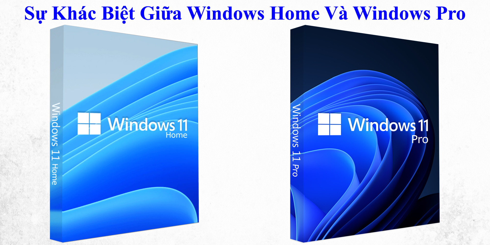 Sự Khác Biệt Giữa Windows Home Và Windows Pro